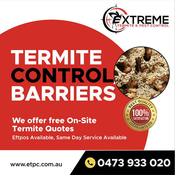 Termite/White Ant Control Treatments - Extreme Termite & Pest Control