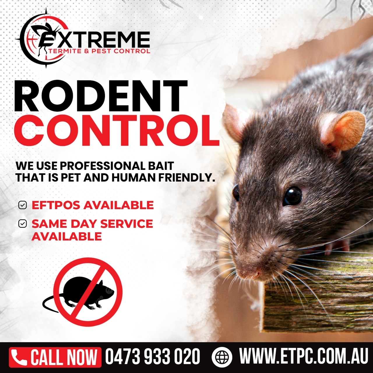 Rodent Control - Extreme Termite & Pest Control